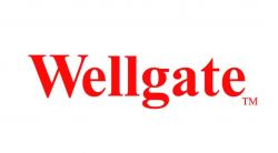About Company's profiles - Wellgate Corporation